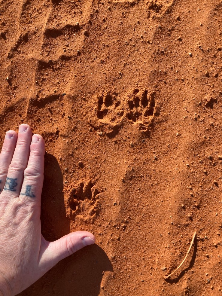 Red Earth Tracking – EEC Forest Stewardship